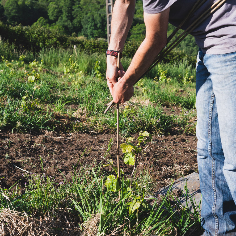 Training Stakes — OrchardValleySupply.com