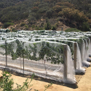 Shop Vineyard Supplies Online | Orchard Valley Supply ...