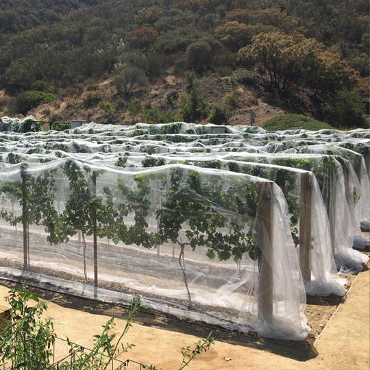 Shop Vineyard Supplies Online | Orchard Valley Supply ...