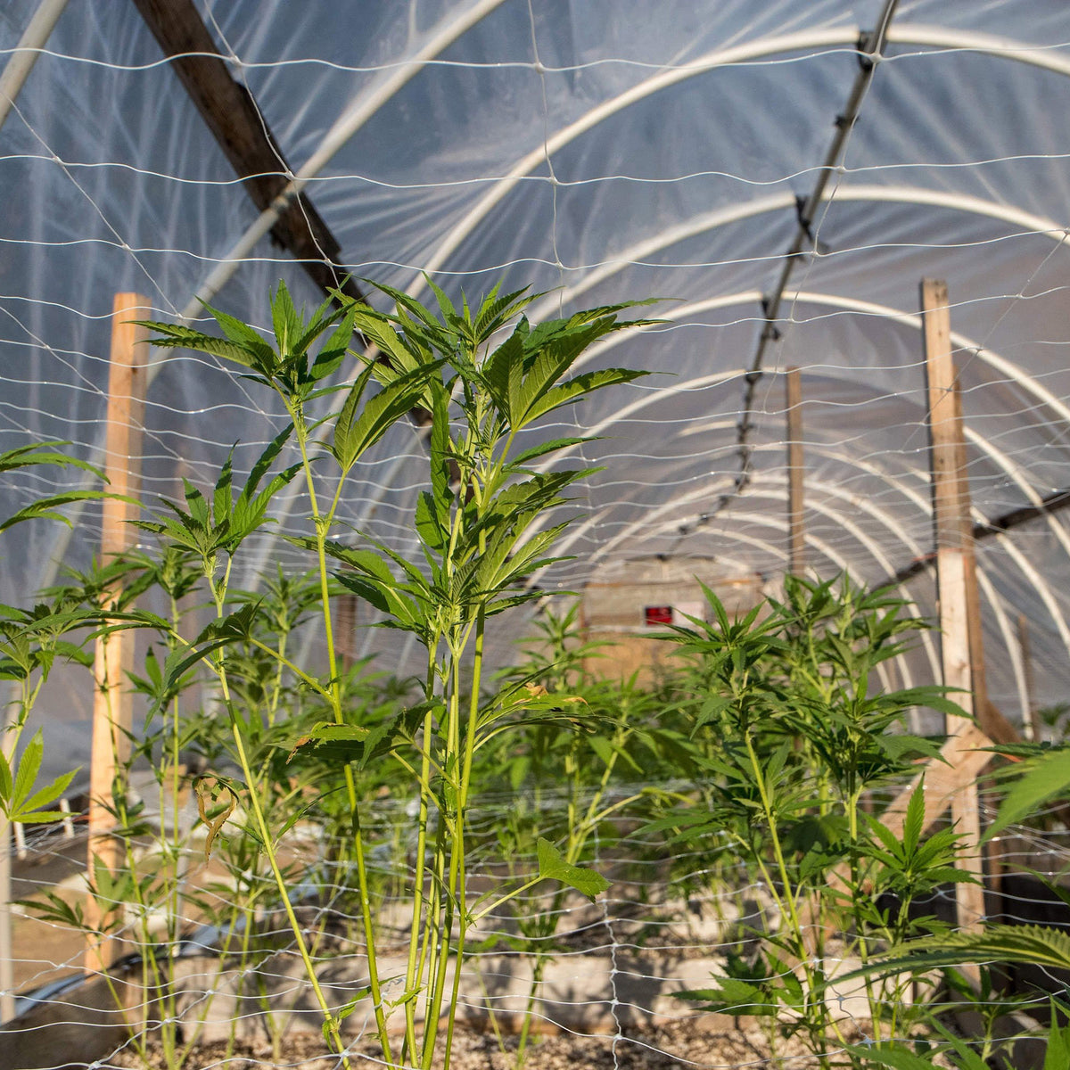 Hemp & Specialty Crops Supplies — OrchardValleySupply.com