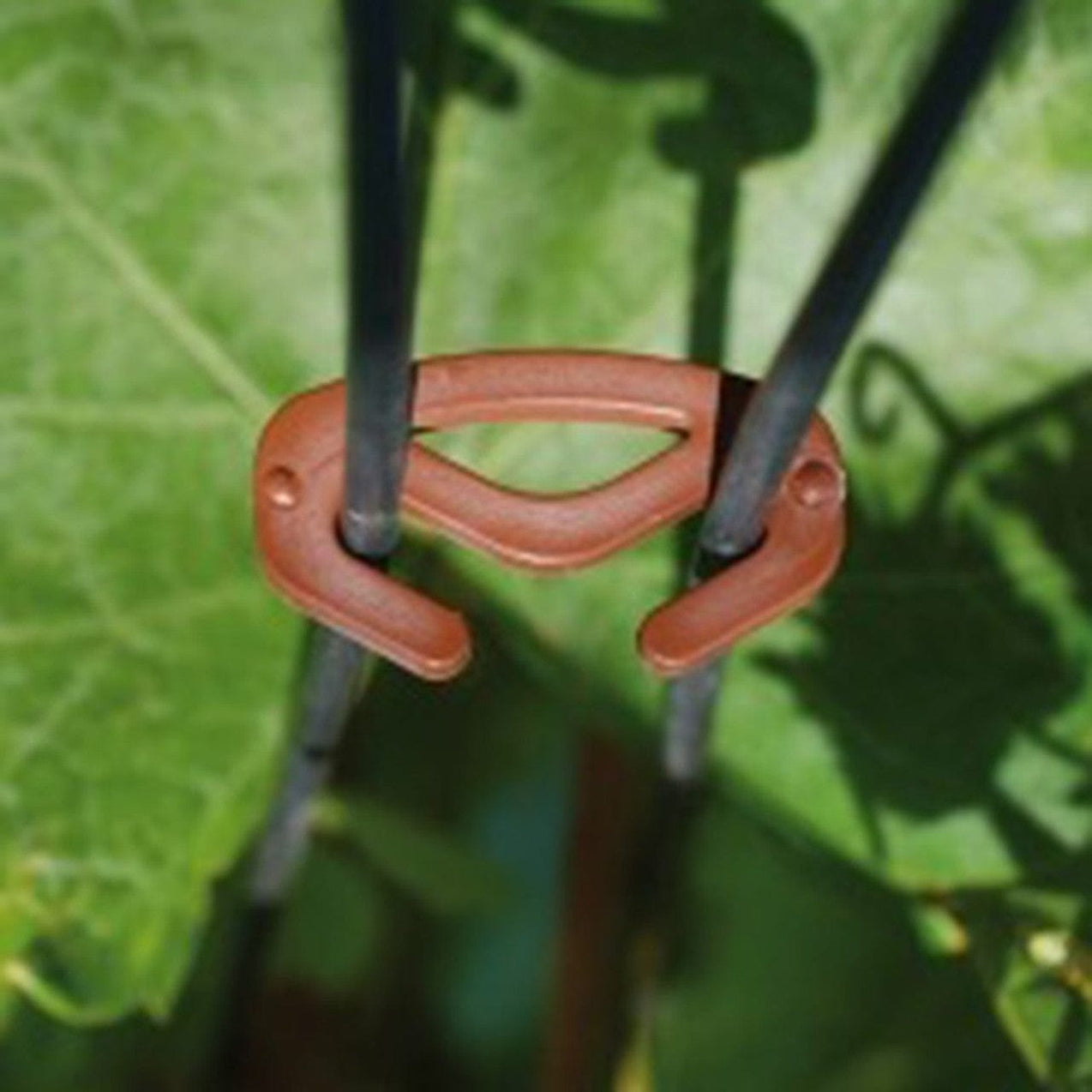 Biodegradable Catch Clip — OrchardValleySupply.com