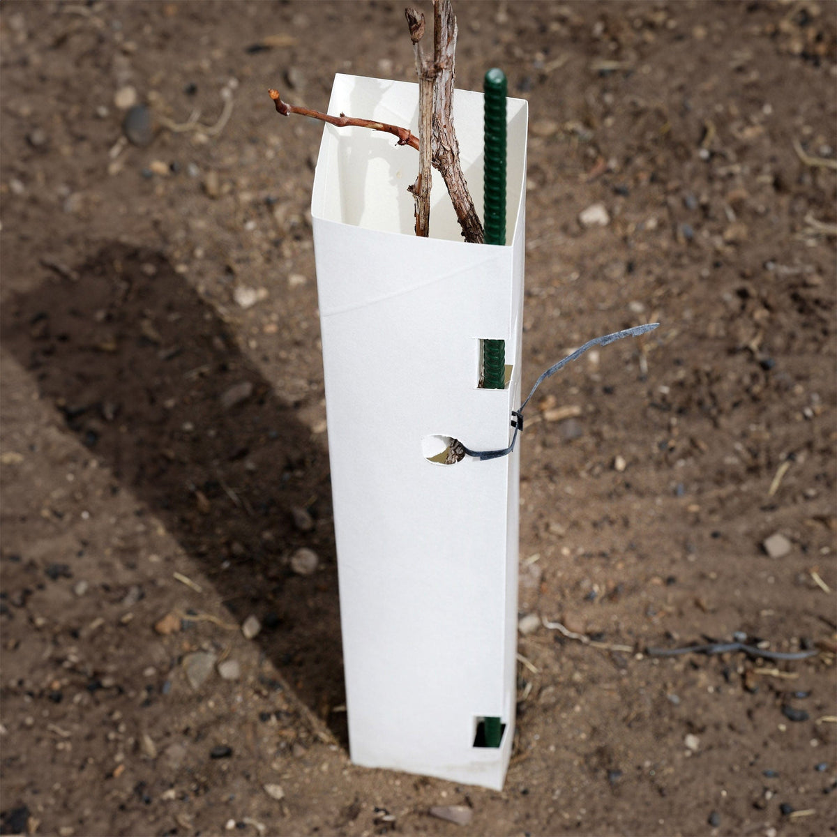 Vine Protectors-Protective Sleeve — OrchardValleySupply.com
