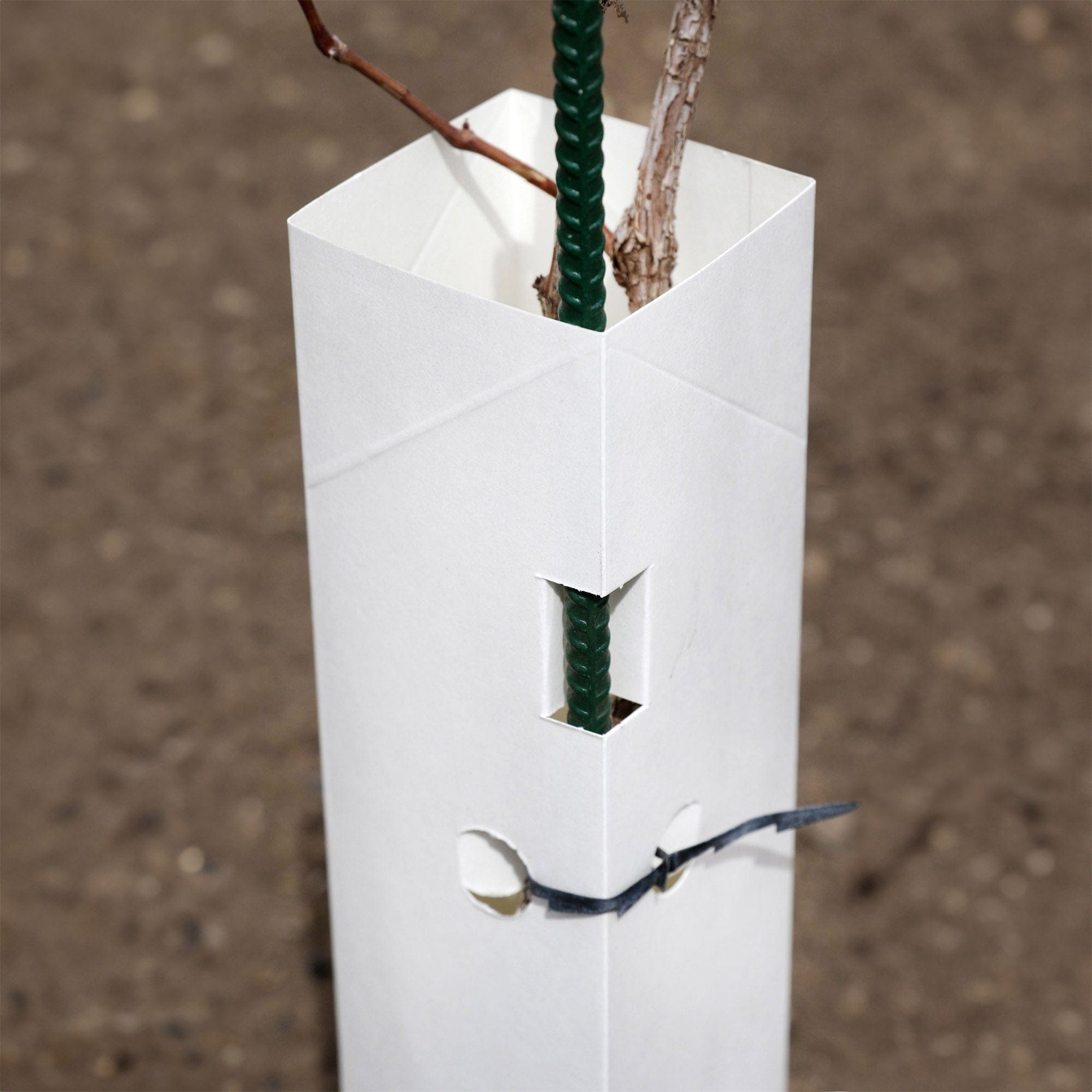 Vine Protectors-Protective Sleeve — OrchardValleySupply.com