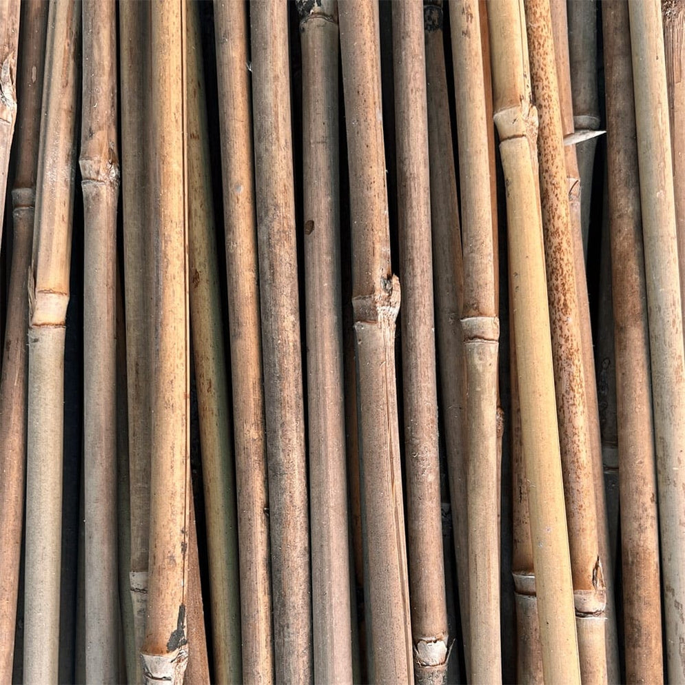 Bamboo Stakes | Plant & Garden Support | Orchard Valley Supply ...