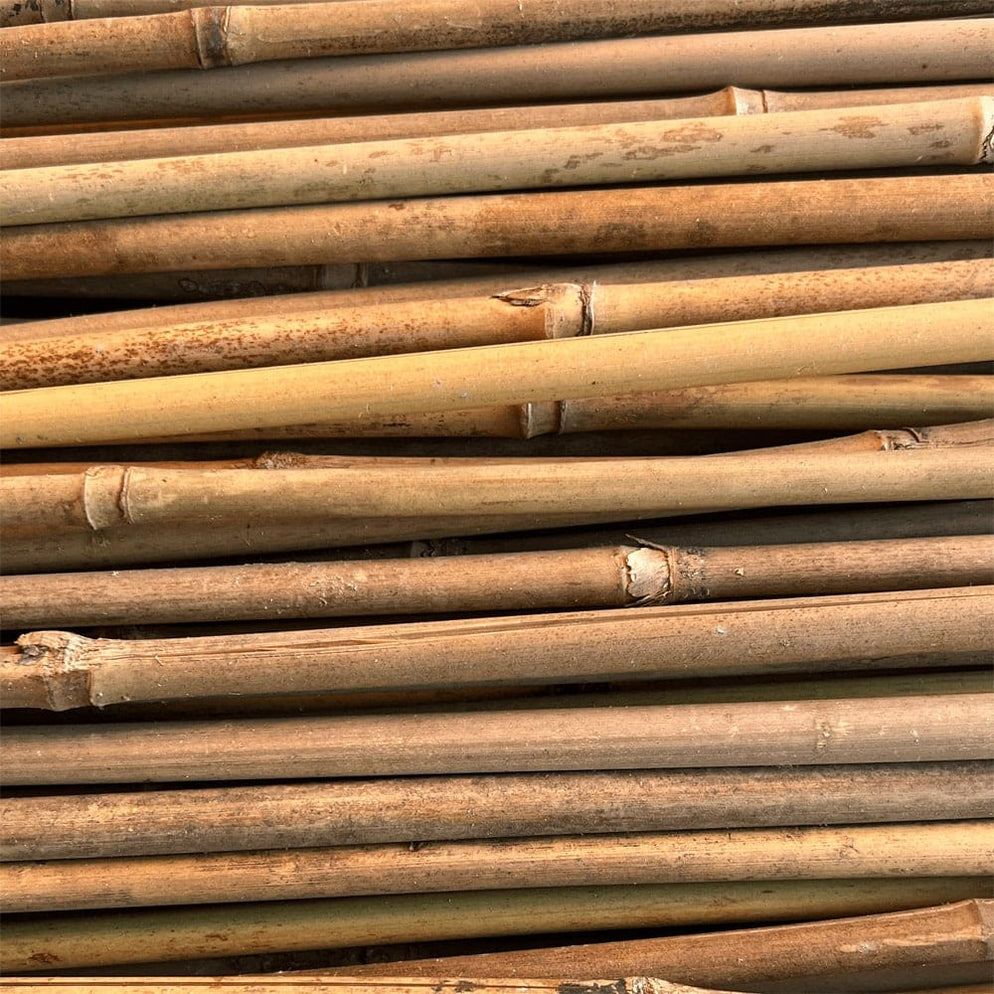 Bamboo Stakes | Plant & Garden Support | Orchard Valley Supply ...