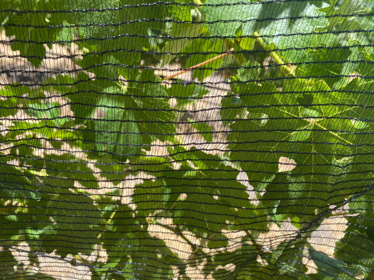 Bee Netting - Side/Zone Netting — OrchardValleySupply.com
