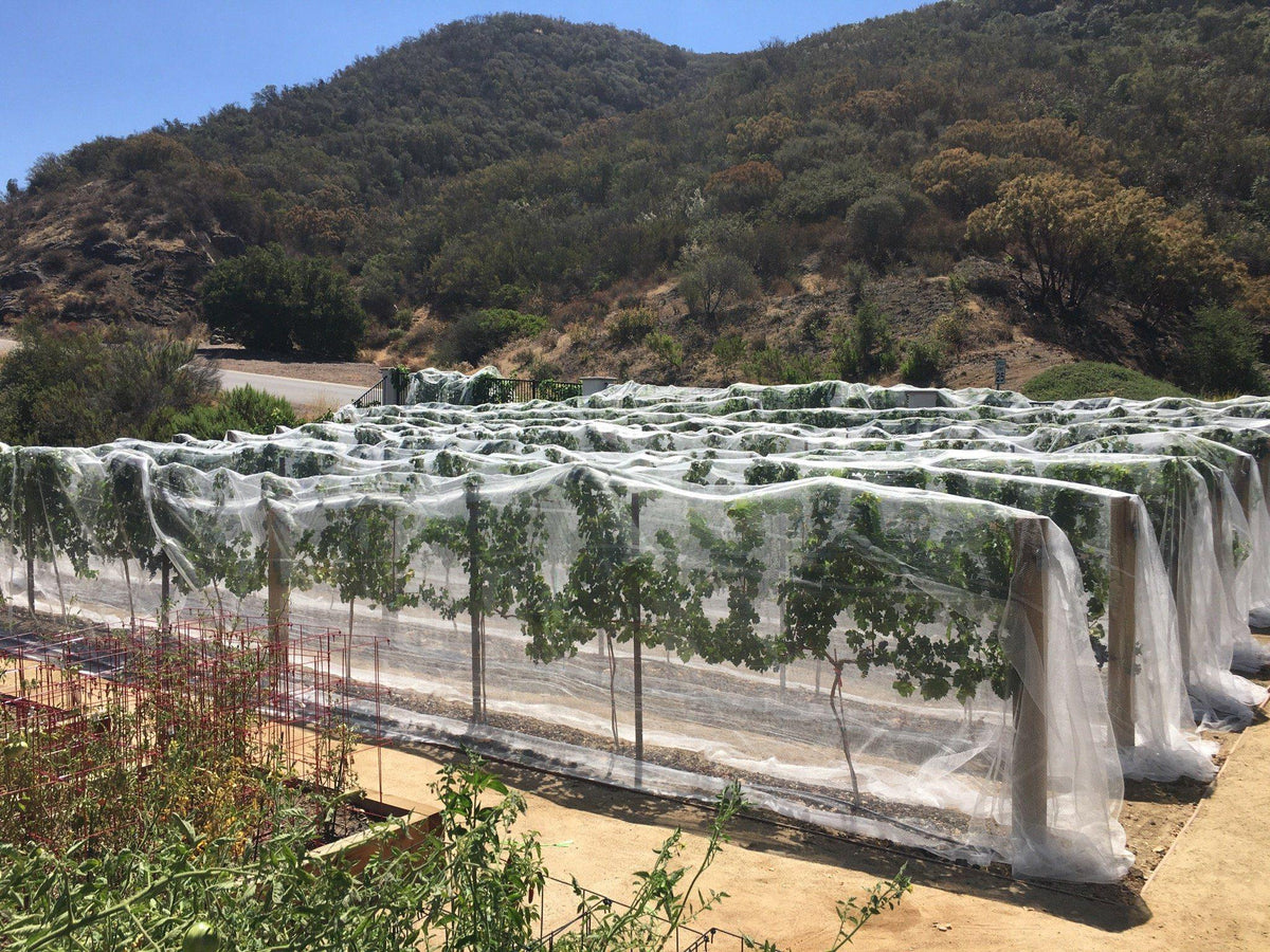 Professional-Grade Bee Netting | Regulate Pollination | Orchard Valley ...