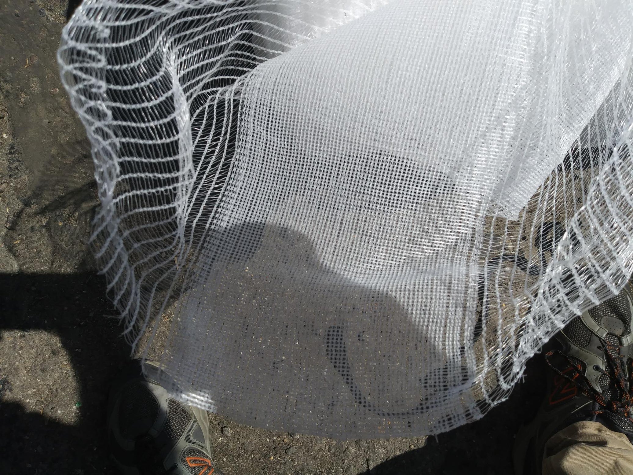Professional-Grade Bee Netting | Regulate Pollination | Orchard Valley ...