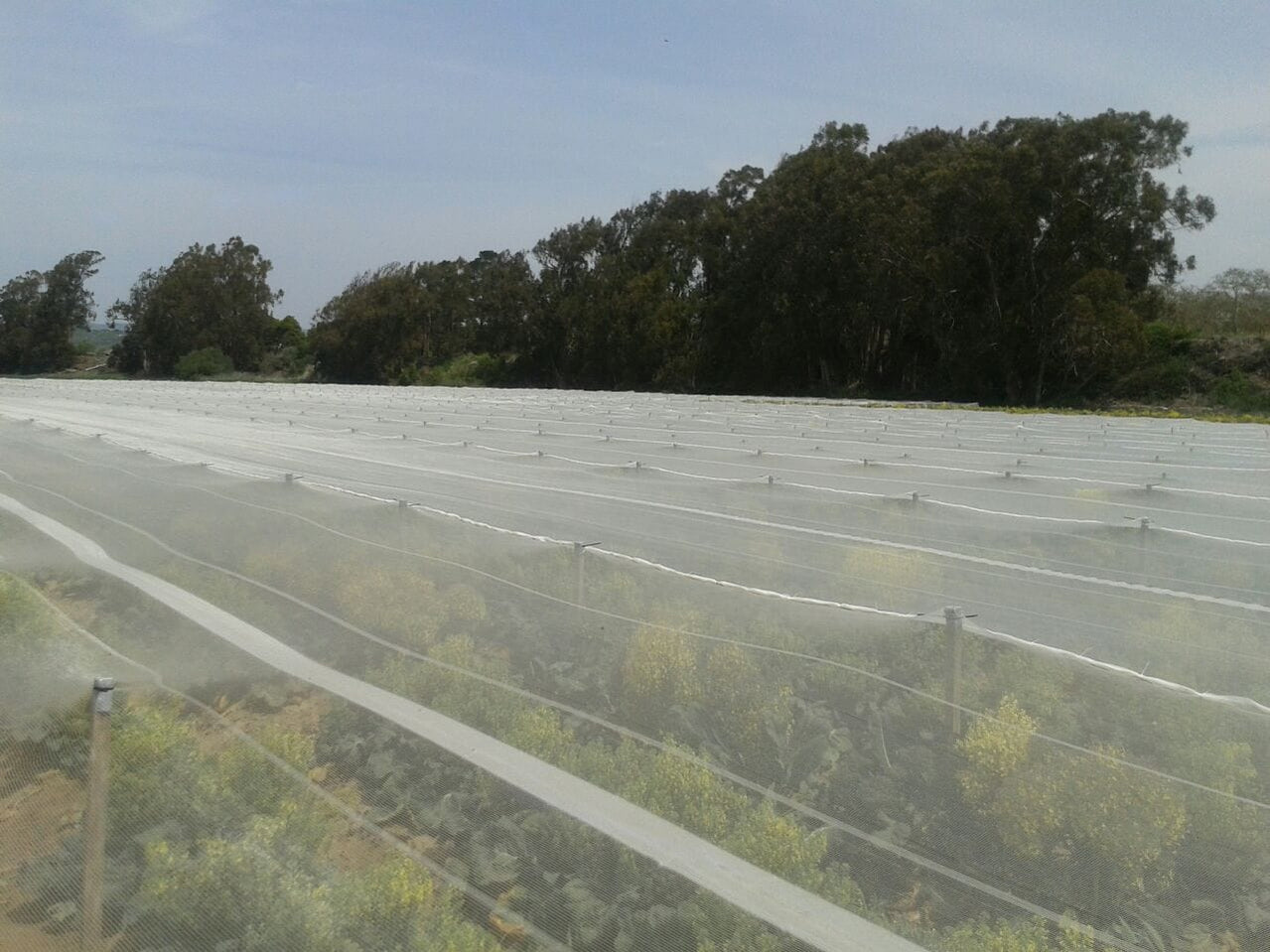 Professional-Grade Bee Netting | Regulate Pollination | Orchard Valley ...