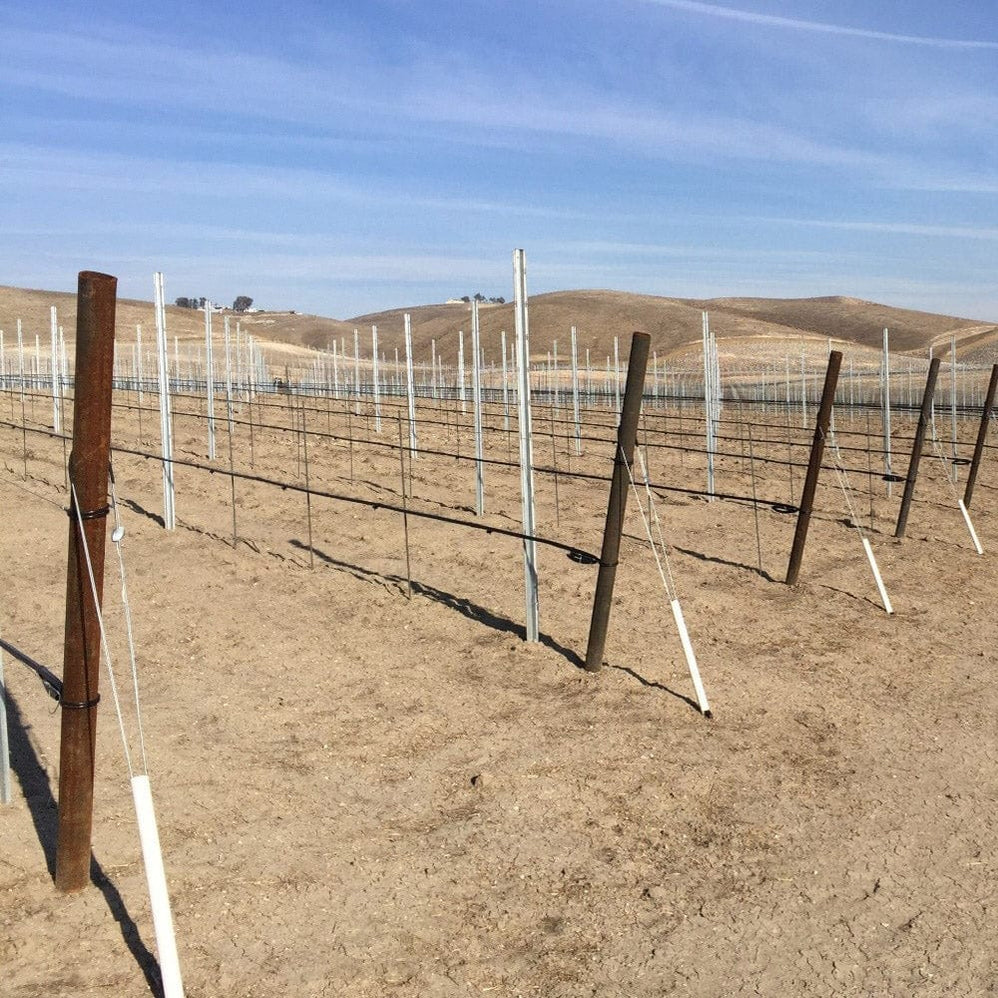 Trellis Posts — OrchardValleySupply.com