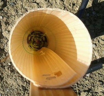 Grow Tubes | Essential Vine Protection | Quality Plant Shelters ...