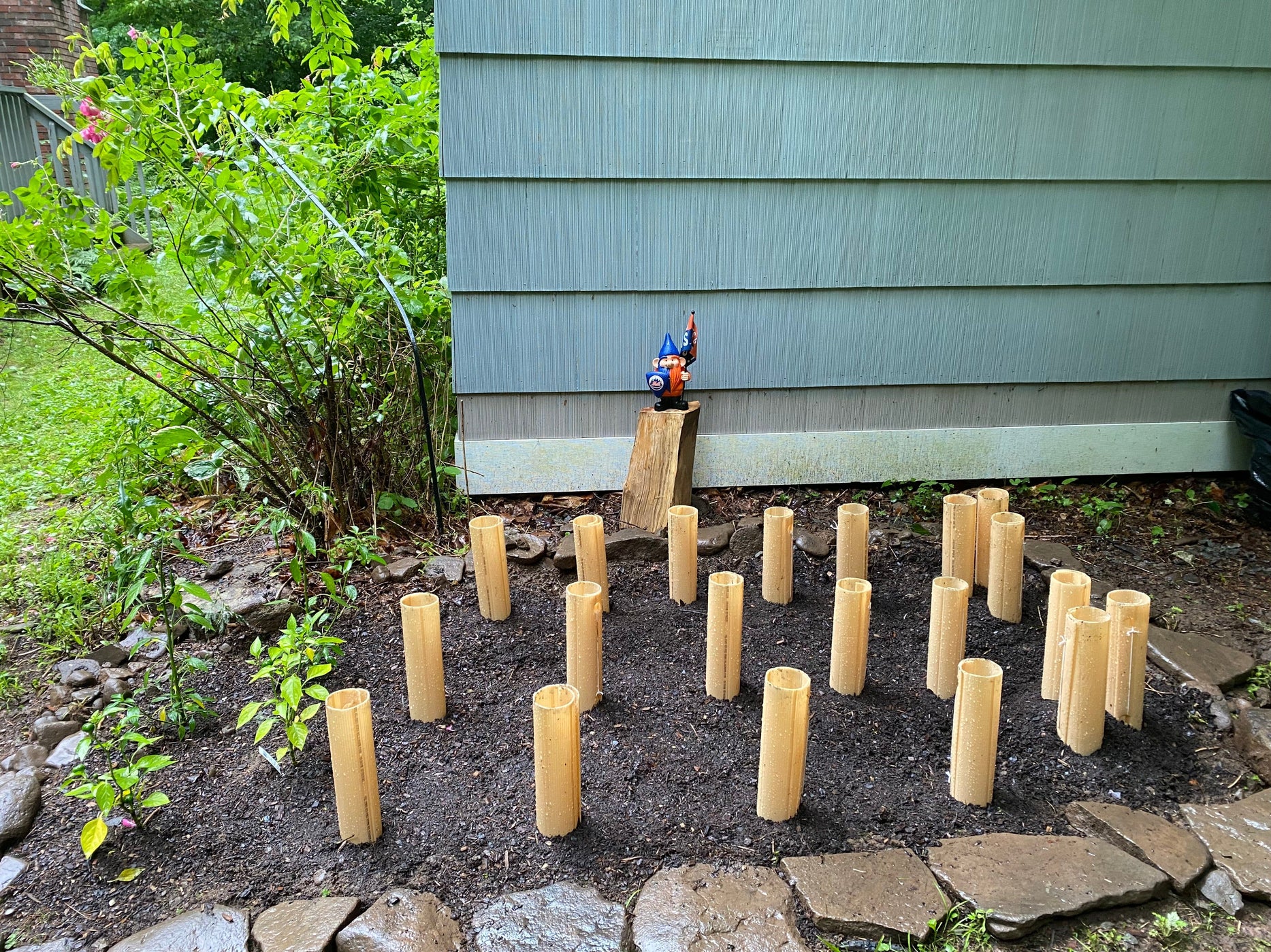 Grow Tubes | Essential Vine Protection | Quality Plant Shelters ...