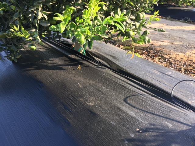 Pro Series Weed Mat — OrchardValleySupply.com