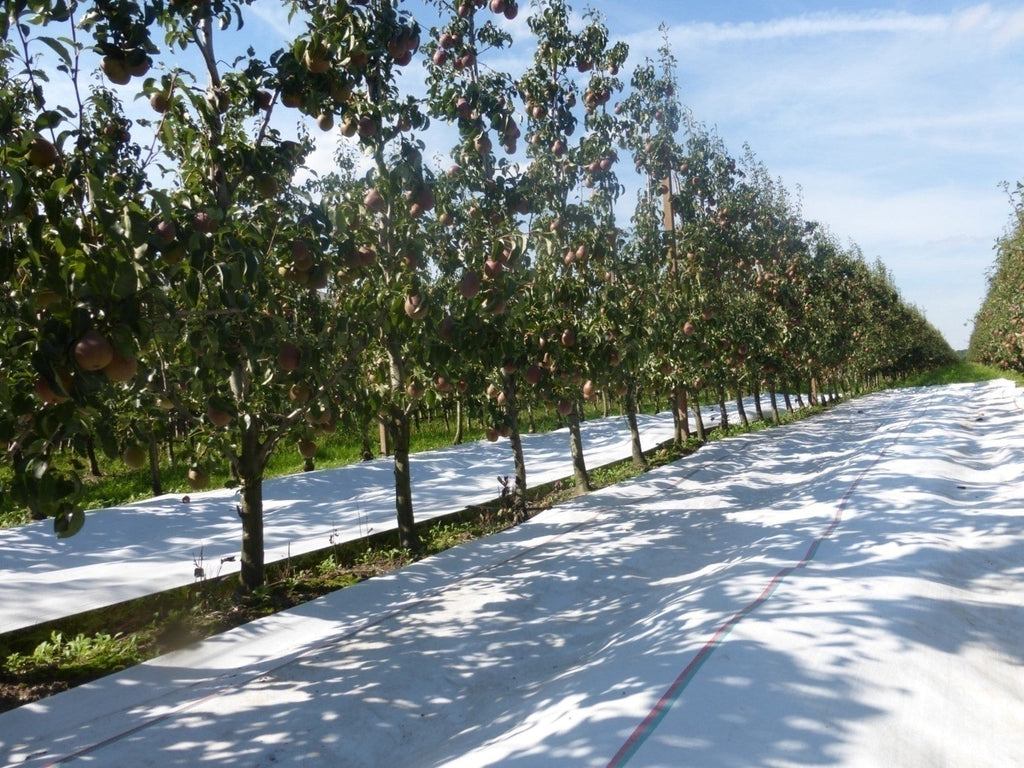 White Cloth Collection | Attachments & Installation Supplies ...